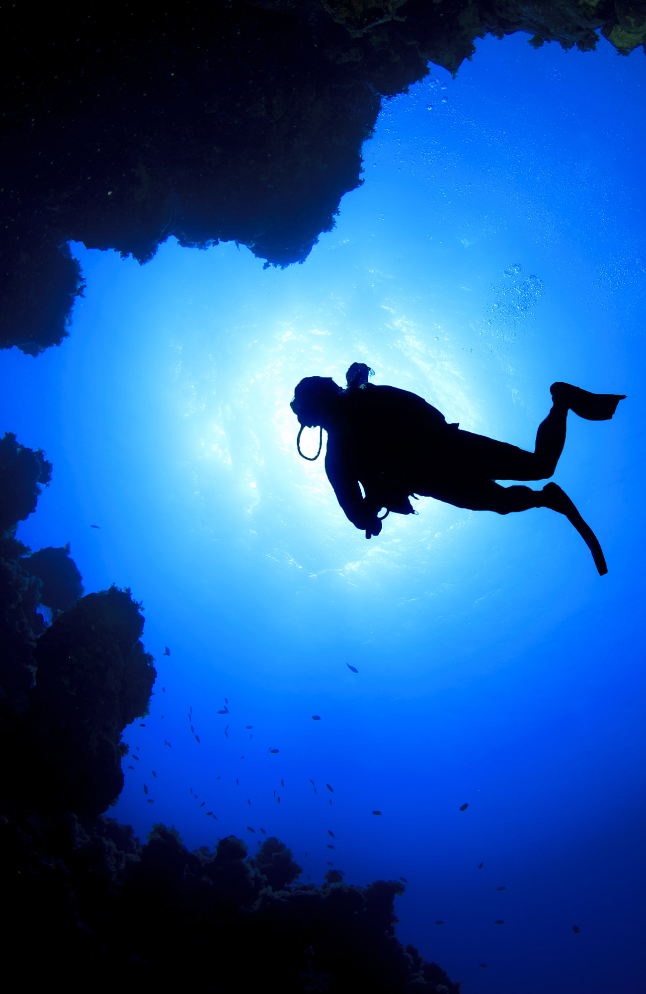 Duiken: haal je PADI in het buitenland | KILROY